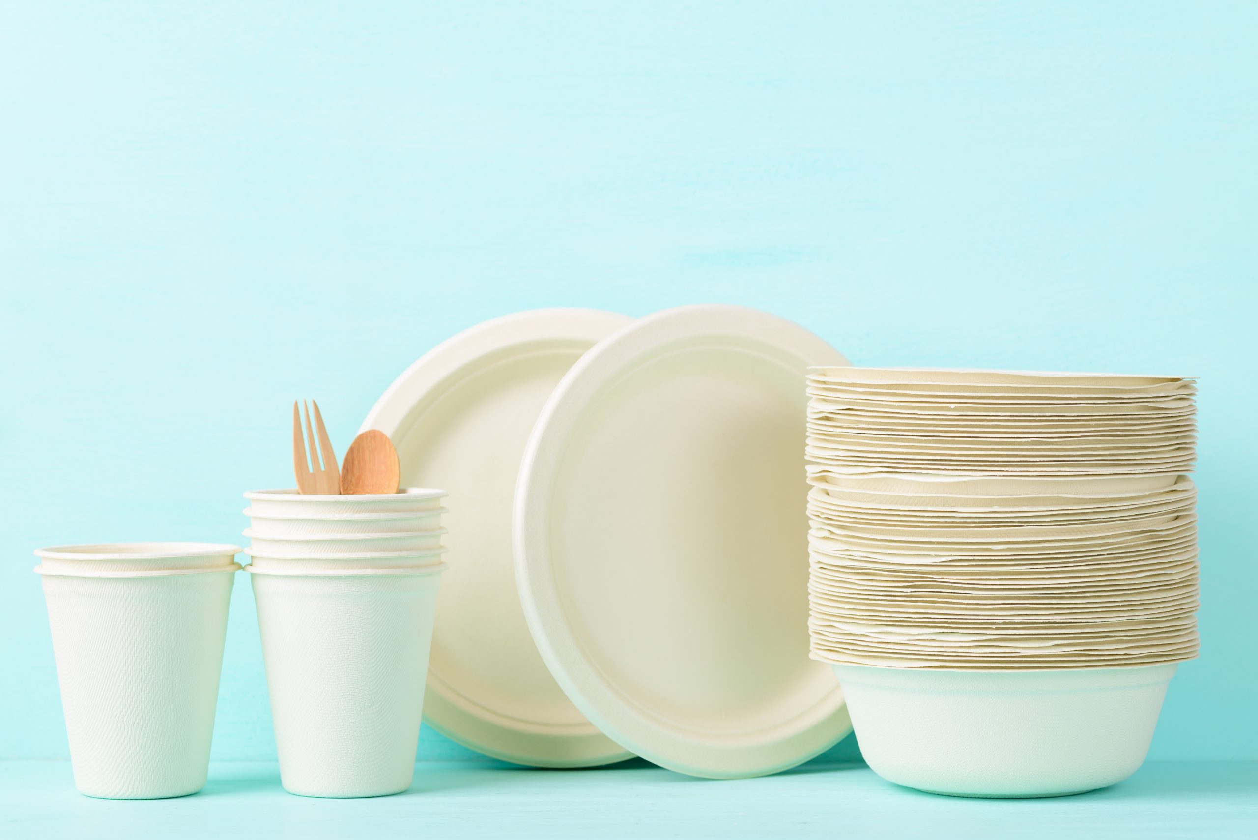 Biodegradable vs Compostable Food Packaging: What’s The Difference ...