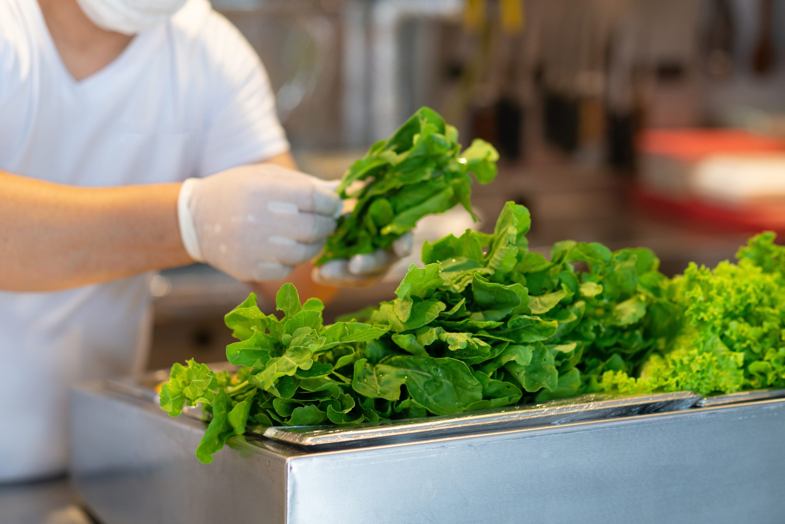How to Use Disposable Gloves the Right Way: Best Practices for Food ...